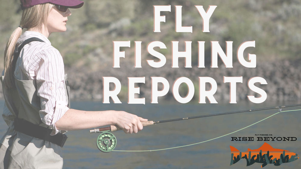 Fly Fishing Reports Redefined for the Modern Angler | Rise Beyond Fly Fishing | Fraser River